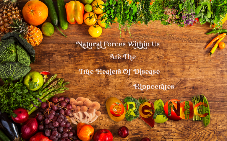 Welcome To Dr Deb's Home..